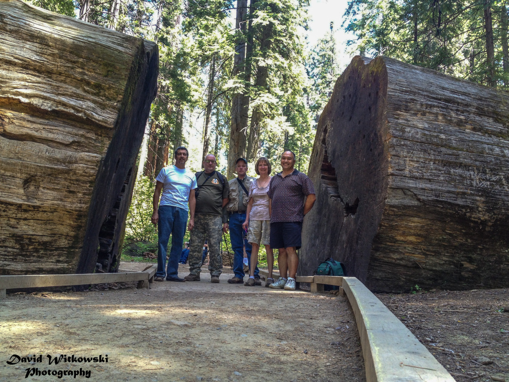 015 ST Patrick’s Day – by Johnny – JohnnyWitkowski.com