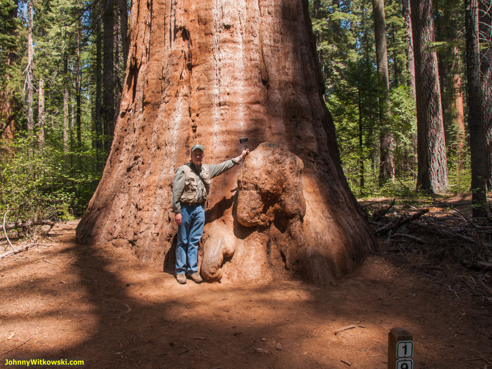 015 ST Patrick’s Day – by Johnny – JohnnyWitkowski.com