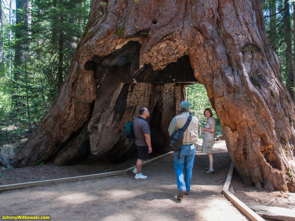 015 ST Patrick’s Day – by Johnny – JohnnyWitkowski.com