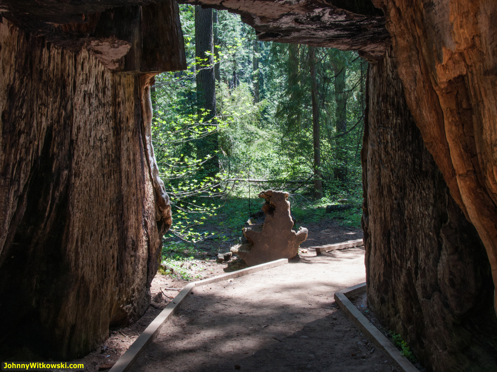 015 ST Patrick’s Day – by Johnny – JohnnyWitkowski.com